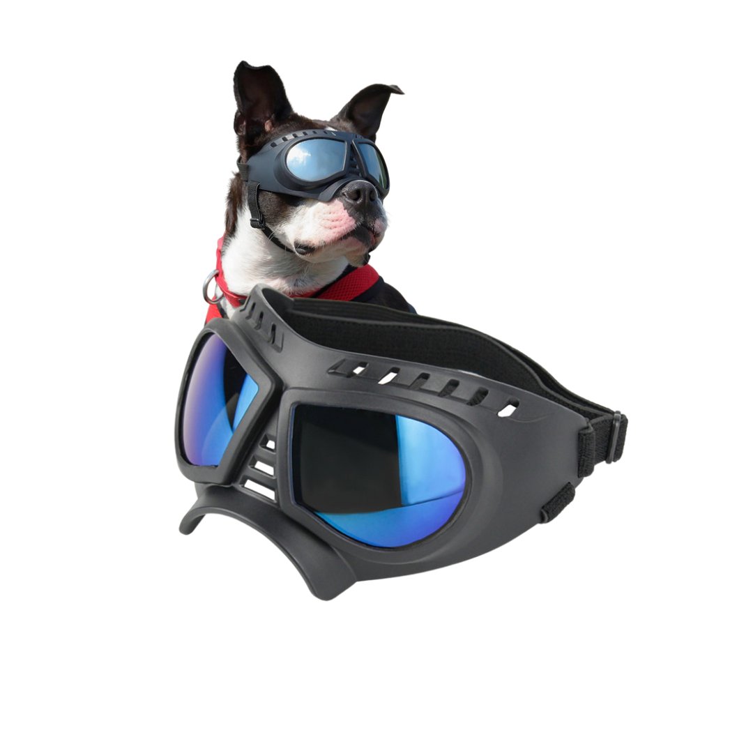 Furtastic Dog ┃Everything a dog needs – FURTASTIC DOG